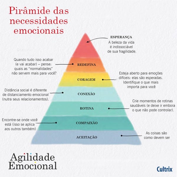 Agilidade emocional e agilidade organizacional: como esses conceitos se ...