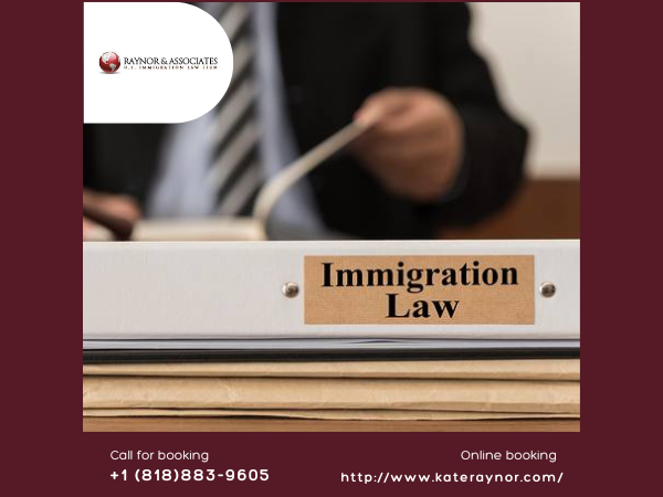 Navigate the Complexities of Immigration Law with Raynor & Associates ...
