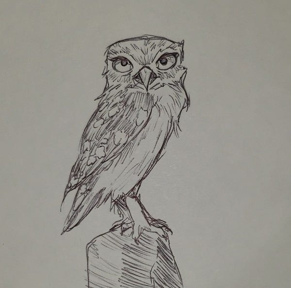 Owl Always Be Amazed by This One Human | by Quinn's Kaleidoscope💜 | Medium