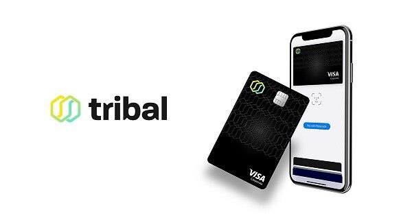 Mengenal Lebih Dalam Apa itu Tribal token (1/2) | by esa | Medium