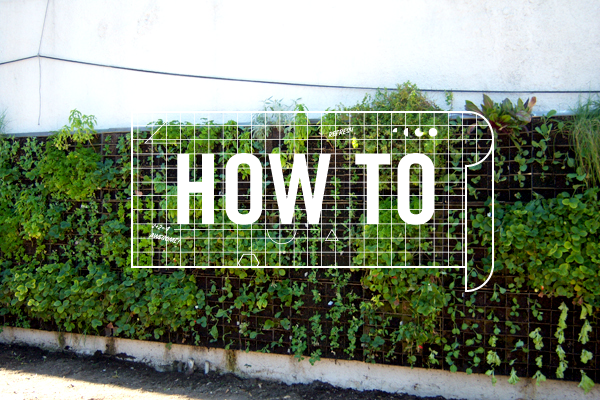 Vertical Walls: What Makes Them Important | by Anna Lee | Medium