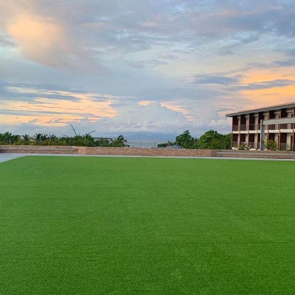 Can the Sun Melt Artificial Grass? | by InnoMotiff Corporation | Medium