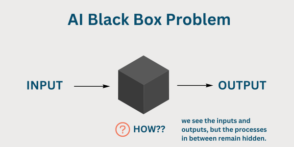 The AI Black Box Problem: Why We Don’t Fully Understand AI Decisions 🤖⚫ | by Ayush Rajput | Feb ...