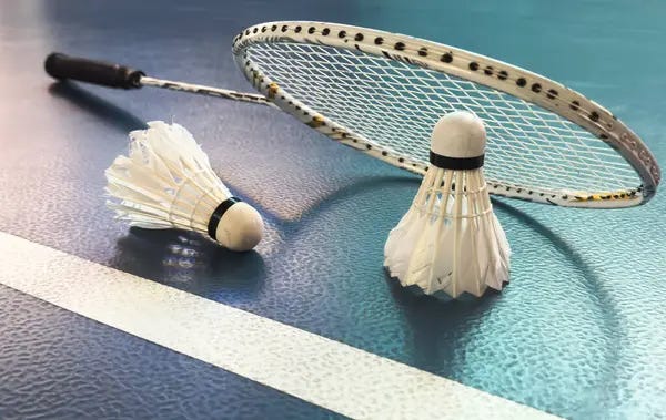 Badminton: Hobi yang Bikin Hidup Lebih Sehat dan Seru. | by F2 Okay ...