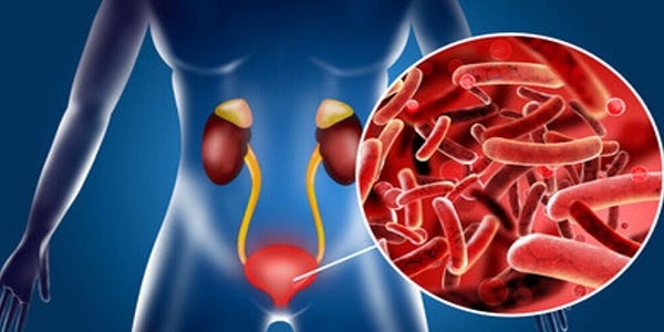 Beware of These 5 Common Bacteria Causing UTIs - cknewsbulletin - Medium