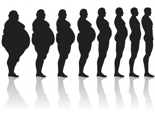 The Skinny on Weight-Loss: How it Works and How to Do It | by Shea ...