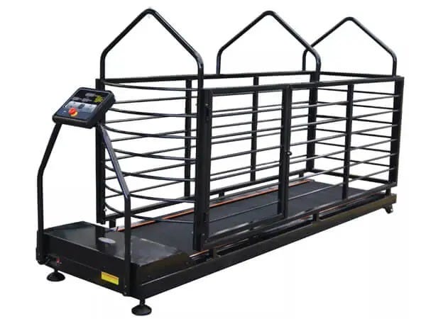 PJ-601 Dog Treadmill. The PJ-601 custom dog treadmill is a… | by PUJIA ...