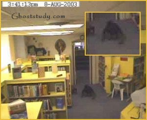 Haunted Willard Library Evansville In