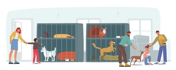 The Power of Data in Animal Rescue | Sara Roach | Medium