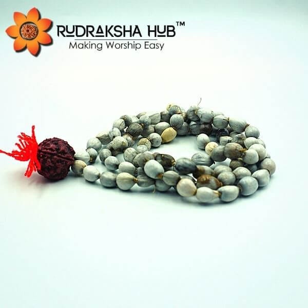 Vaijayanti mala. Vaijayanti Mala is a symbol of love and… | by ...