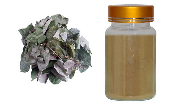 Get Horny Goat Weed Extract from Qualityherb | by Quality Herb | Medium