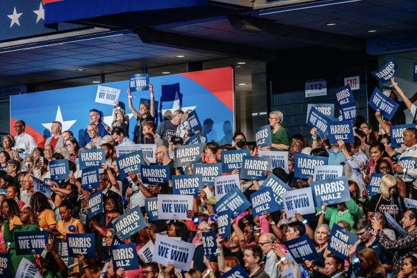 Shortcomings of the Democratic Party Platform | by Ira Kawaller | Medium