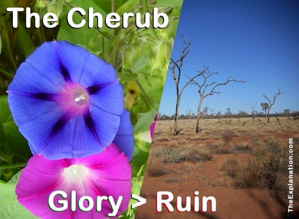 A Cherub is a Very Powerful Spirit Being. Fact or Fiction? | by Sam ...