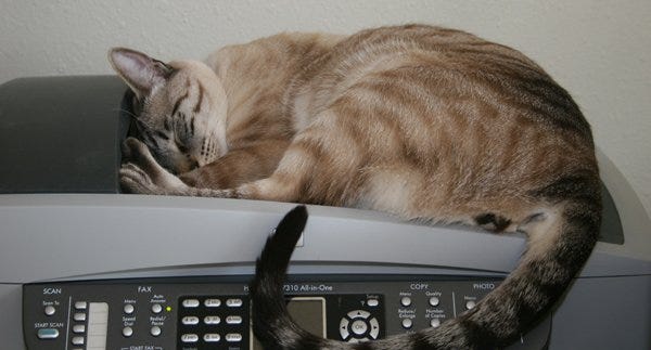 The accelerating speed of technology dispersion and the death of copy ...