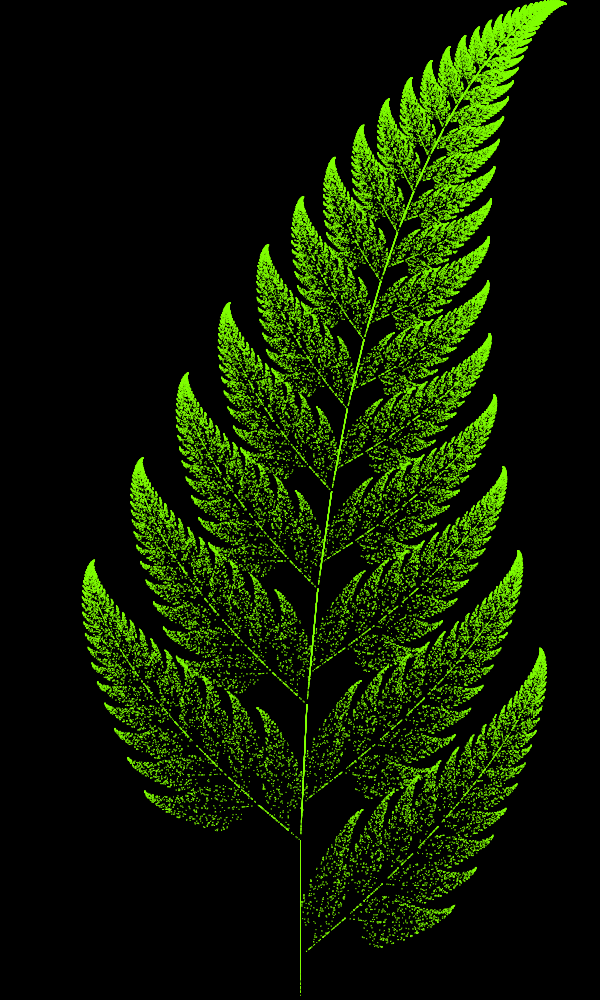 Barnsley Fern. Have you ever seen nature emerge from a… | by Abhishek ...