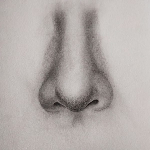The Fascinating World of the Human Nose | by Sikandar Axam | Medium