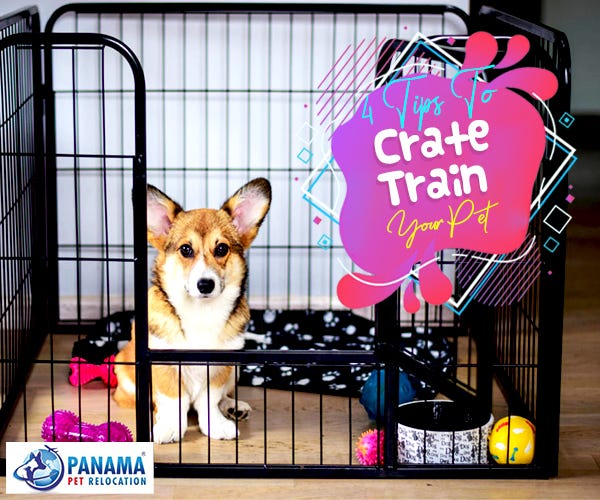 Get your pet crate-trained smoothly with these 4 tips! | by Panama Pet ...