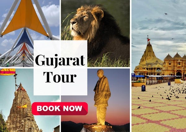 Discover the Rich Heritage and Wildlife of Gujarat | by compass tourism ...