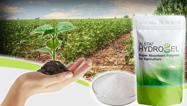 Non-toxic Hydrogels as Water Absorber for Agriculture | by Alsta ...