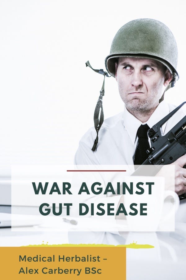 Our Digestive Systems Work Really Hard | by Alex Carberry | Medium