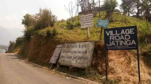 Jatinga Valley Assam Haunted Story | by Story N Book | Medium