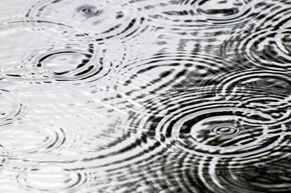 Be the Pebble. Ripples of Kindness Matter More Than… | by Bradford J ...