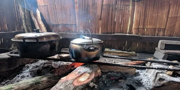 Why the Smell of Freshly Cooked Rice Always Reminds Me of Home? | by ...