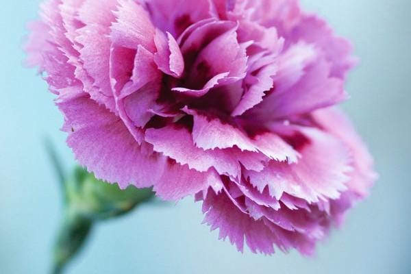 Everything You Need To Know About December 13 Birthday Personality | by ...
