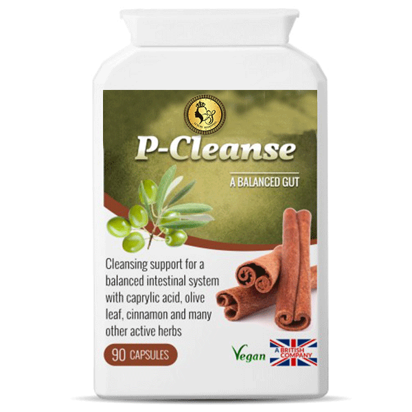 P-Cleanse | Vegan Protein Supplement | Slay Fitness Store | by Slay ...