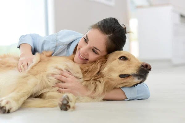 Important things veterinarians want every dog owner to know | by Nik ...