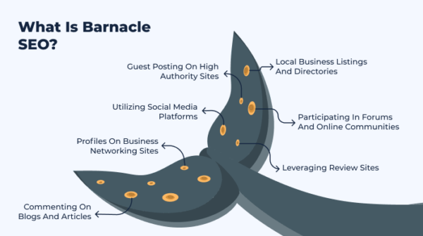 BARNACLE SEO: WHAT IS IT AND HOW TO DRIVE TRAFFIC WITHOUT RANKING | by ...
