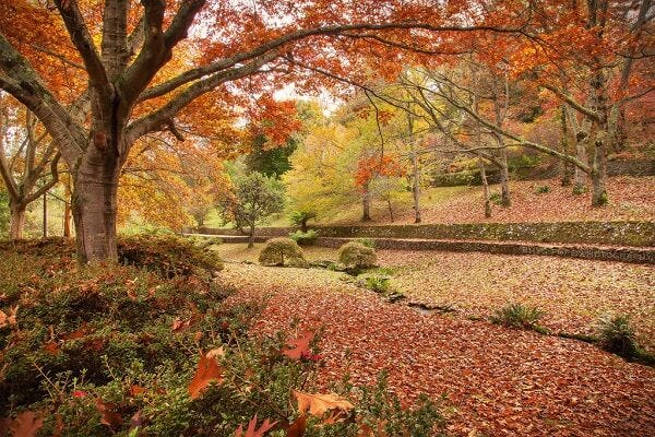 How to Explore the Town of Leura? | by Last Minute Day Tours | Medium