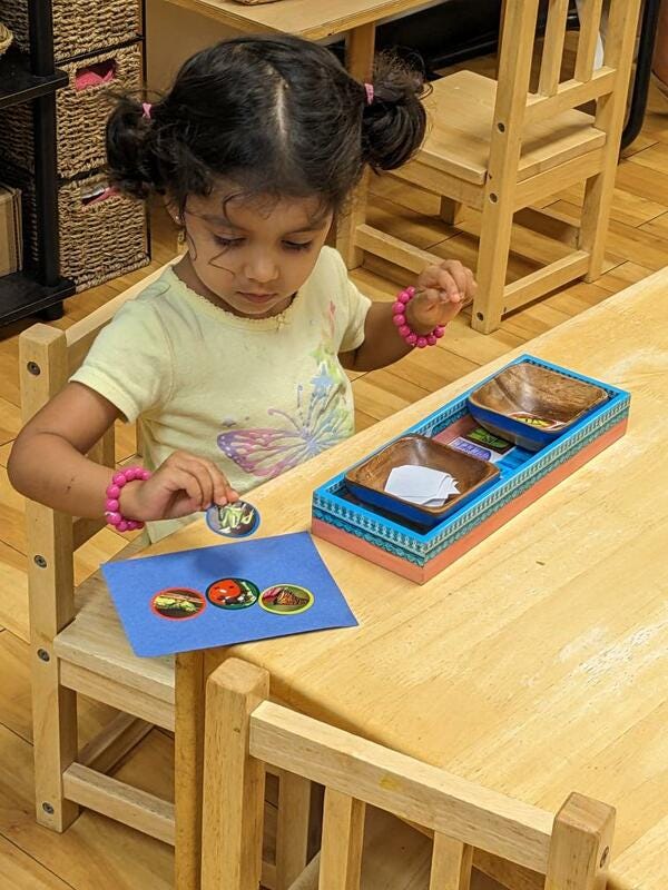 Montessori Preschool Benefits. Exploring all of your child’s… | by ...