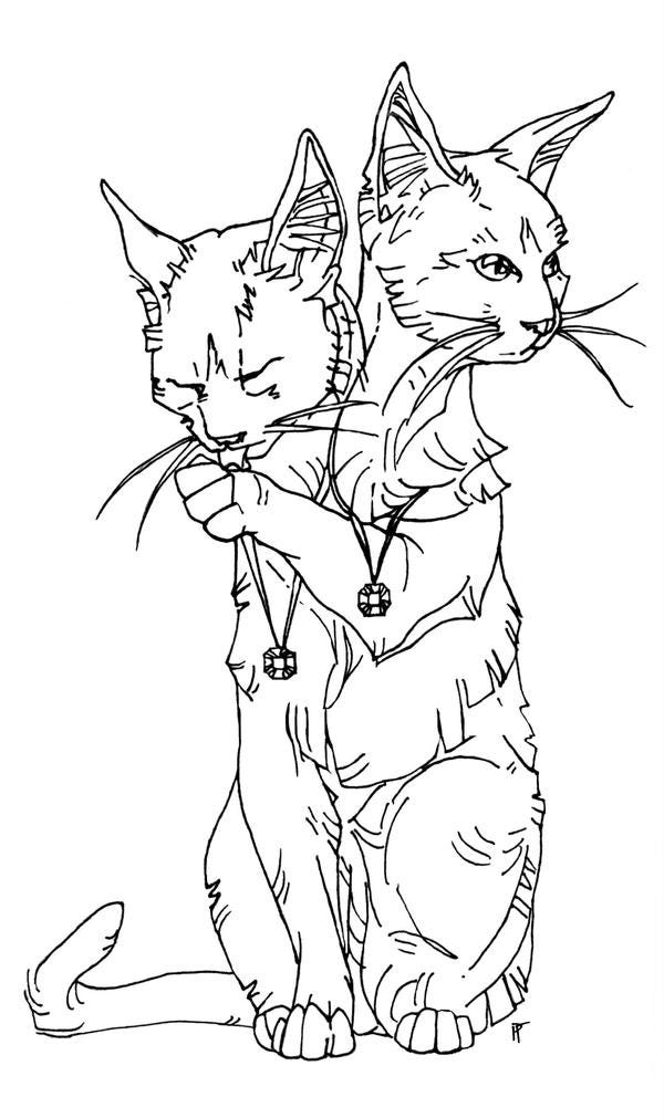 Two Headed Cat