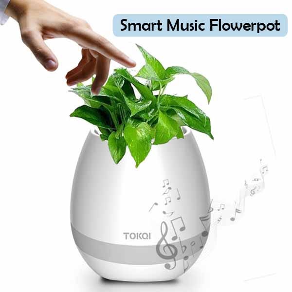 A Singing Flower Pot With Illuminating Light | by Aslongdeal | Medium