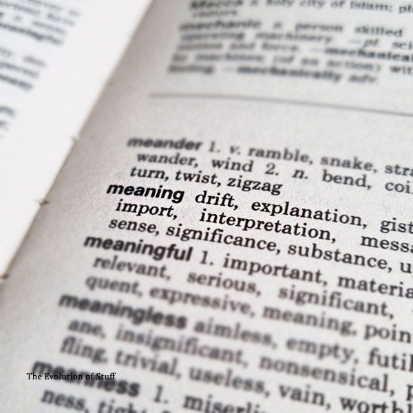 The Evolution of Meaning. Who are we? How do we get our identity? | by ...