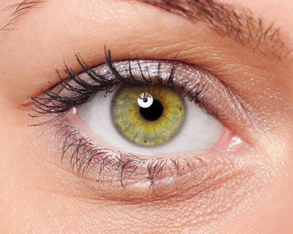 What are discount contact lenses? | by Ioris Lee | Medium