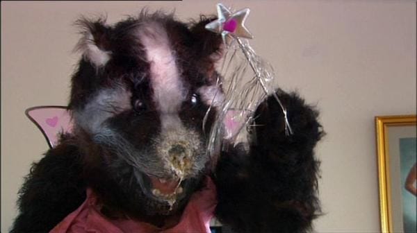 Why the Coke Badger Works. The Coke Badger, also known as the… | by ...