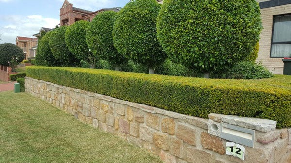 Why Timely Acreage Mowing Sydney Is So Important? | by Jane Smith | Medium