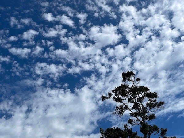 The End of Mourning. When Grief and Loss Retreat and the… | by Karine ...