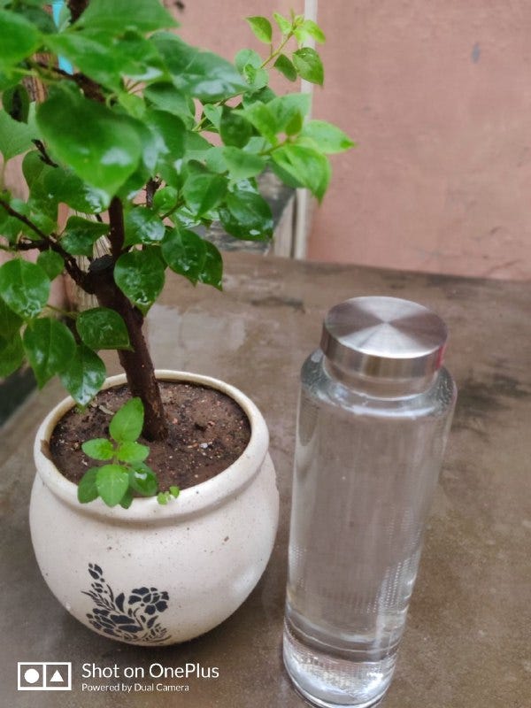 Sun charged Purified Water: Let Nature heal you. | by Gaurav Sharma ...