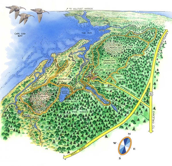 5 Top Secrets of Cape Cod Beauty All Year Long | by Alice Garbarini ...