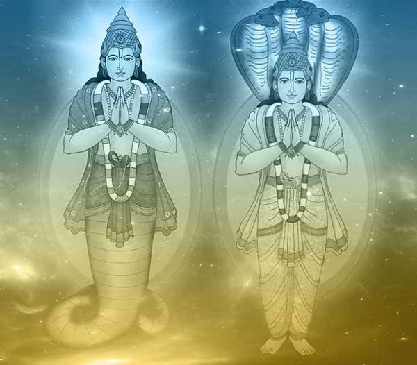 🌘The Shadowy Teachers of the Cosmos: Rahu and Ketu 🌒 | by Parisha ...