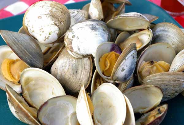 Cape Cod s Good Eats. Cape Cod — Where to Eat | by Rich Ursini | Medium