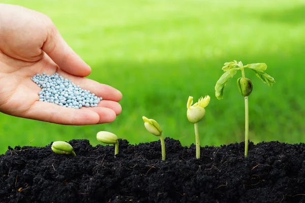 The Science of Fertilizers: Maximizing Your Garden’s Potential | by ...