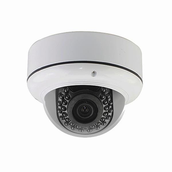 Vandal Resistant Camera Market Analysis and Trends Report: Examining ...