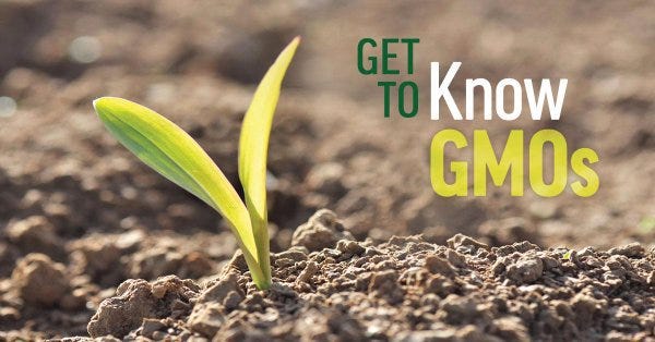 Want to know more about GMOs? You’re not alone. | by GMO Answers | Medium