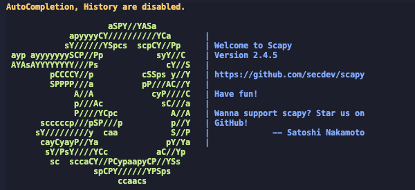 PyOps — Scapy Introduction. A powerful interactive packet… | by Tony | Dev Genius