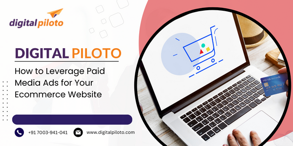 How to Leverage Paid Media Ads for Your Ecommerce Website - Nirmal Pal ...