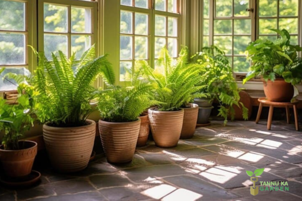Bringing Nature Inside: Creating the Ultimate Indoor Garden | by RINAN ...